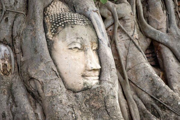 Ayutthaya Buddha Head in Tree Roots, Buddhist temple Wat Mahatha